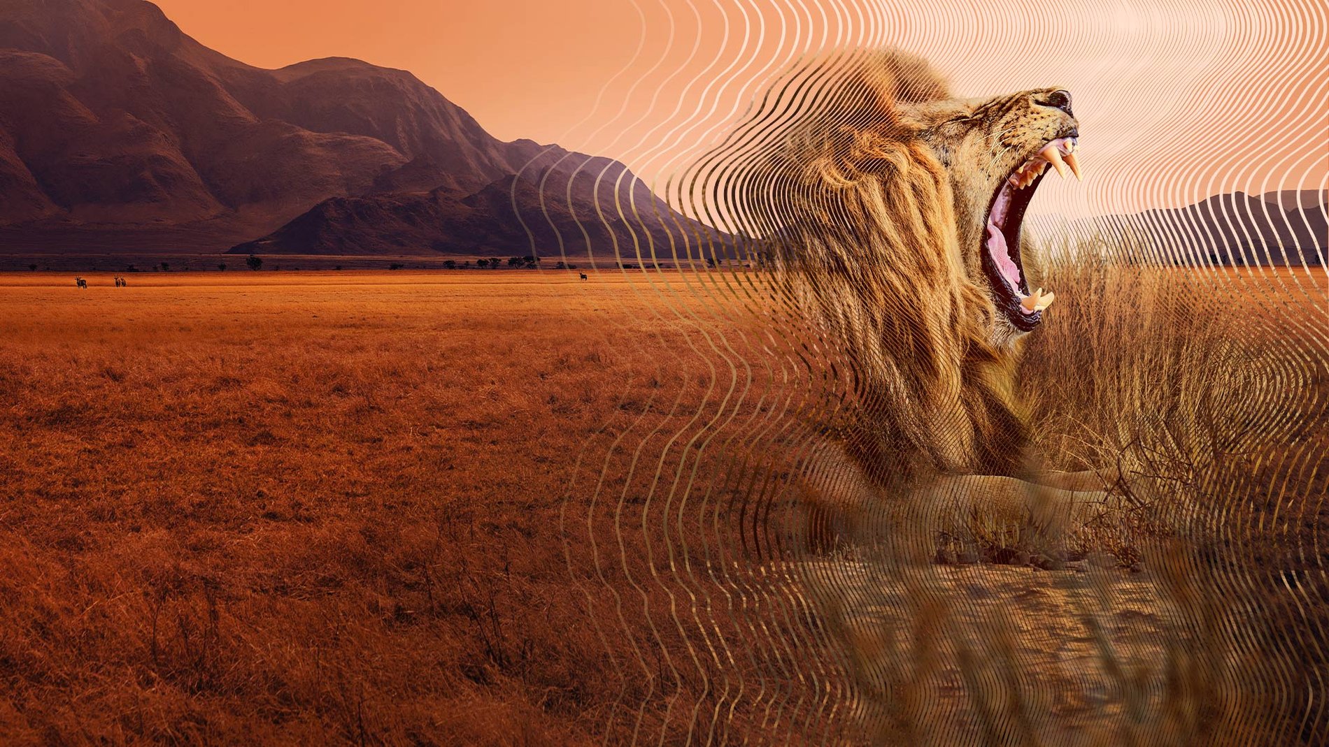 Documentaries - watch free online documentaries - ihavenotv.com